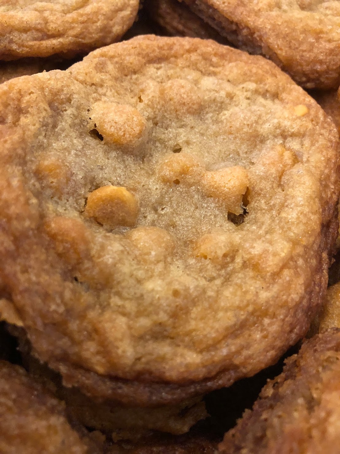 Butterscotch Chip Cookies - Darcy Dishes