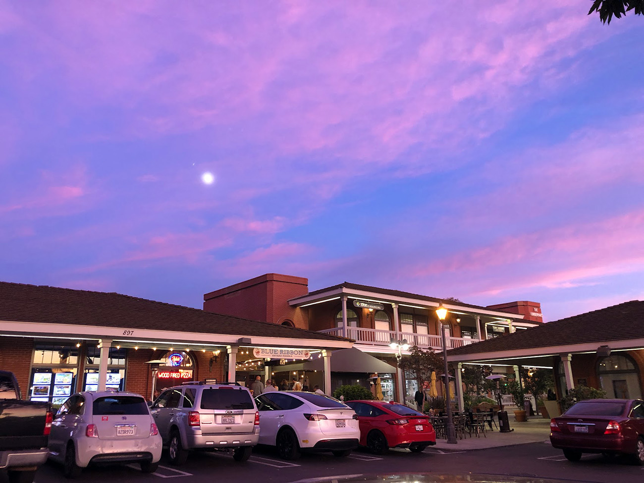 Blue Ribbon Artisan Pizzeria: Way More than Just a Pizza Place - Darcy ...