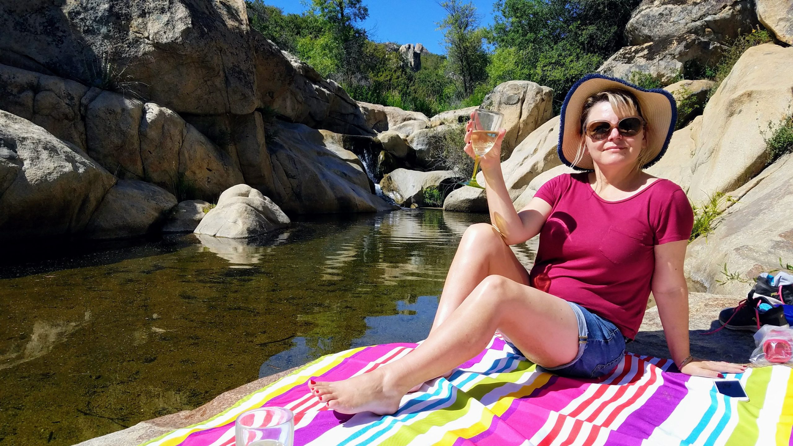 10 Field Trips - Darcy Dishes